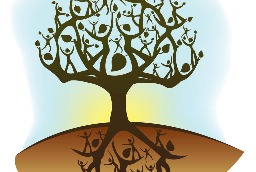 Árvore Da Vida: Conheça Os Detalhes Deste Símbolo Espiritual – TRLP