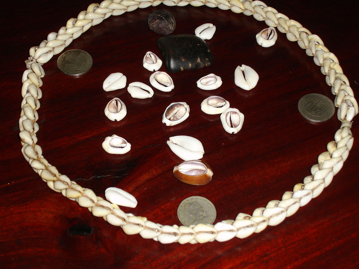 A história dos búzios - Blog VidaTarot